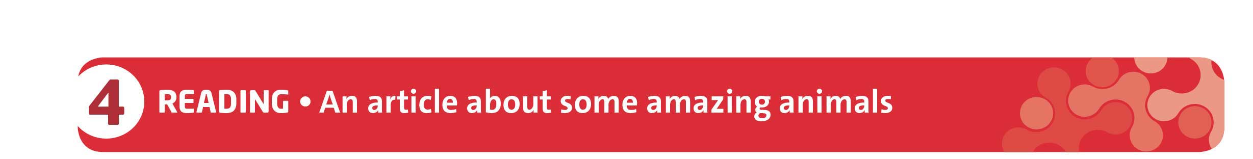 Friends Plus - 7 (Workbook)