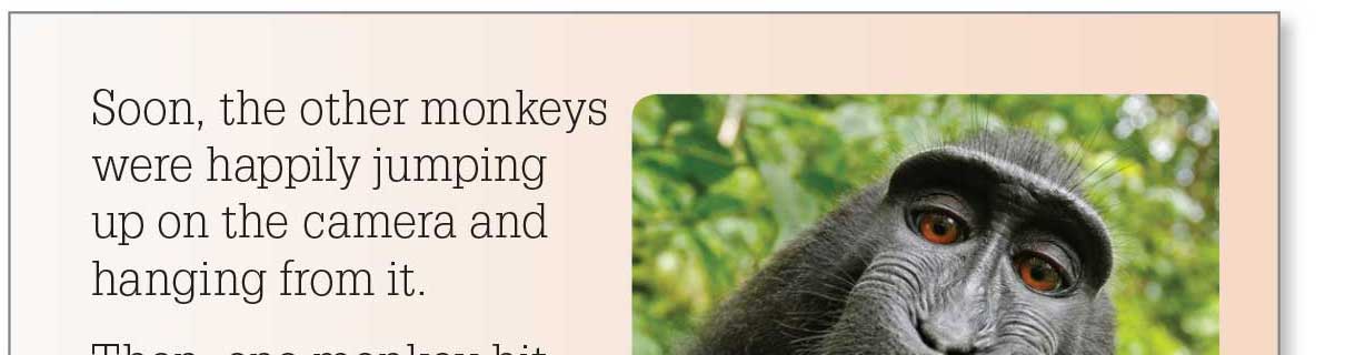 Friends Plus - 7 (Workbook)