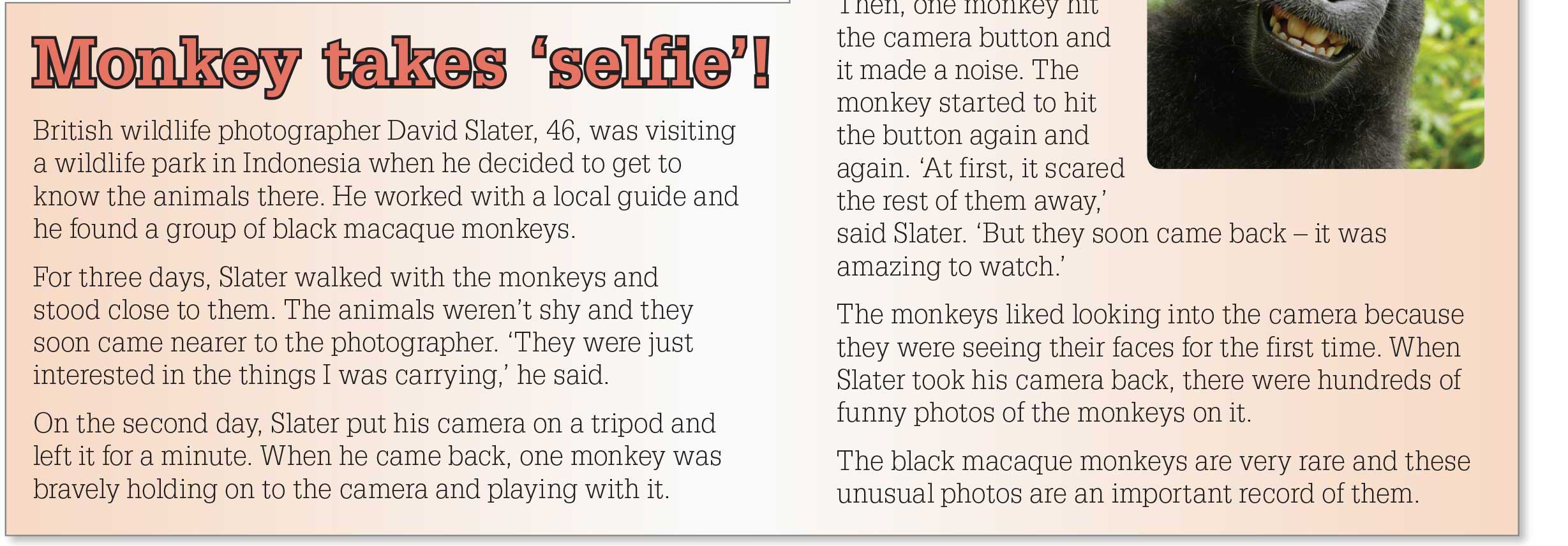 Friends Plus - 7 (Workbook)