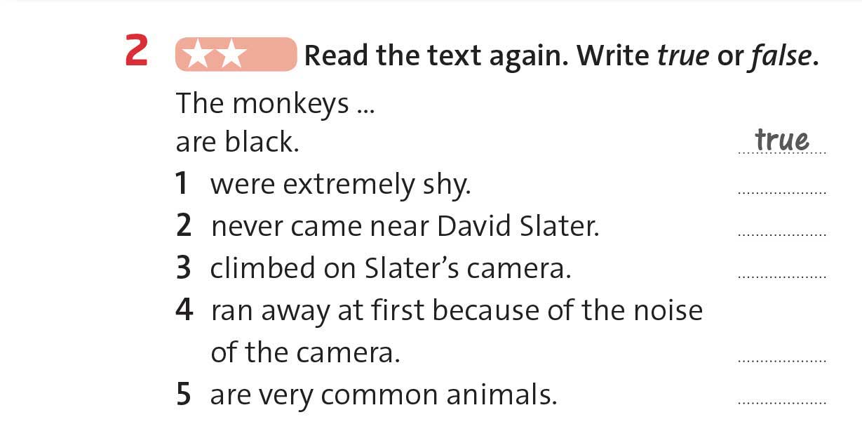 Friends Plus - 7 (Workbook)