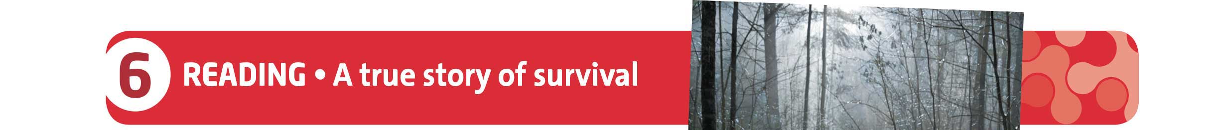 Friends Plus - 7 (Workbook)